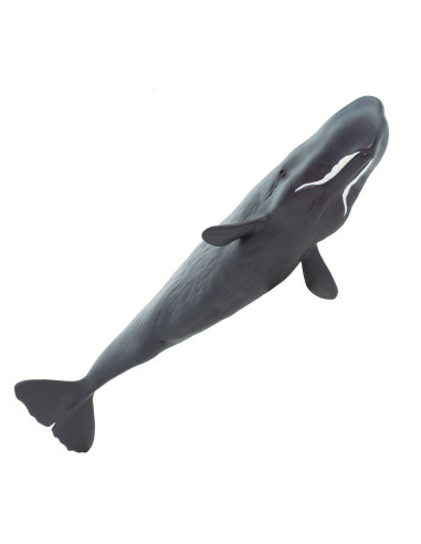 Safari Ltd. Figurka - Vorvaň obrovský