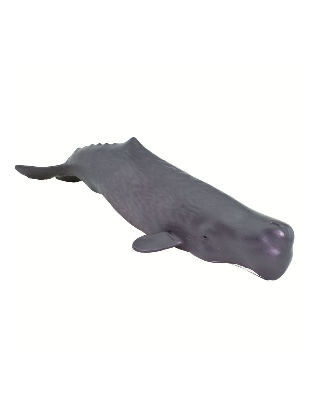 Safari Ltd. Figurka - Vorvaň obrovský